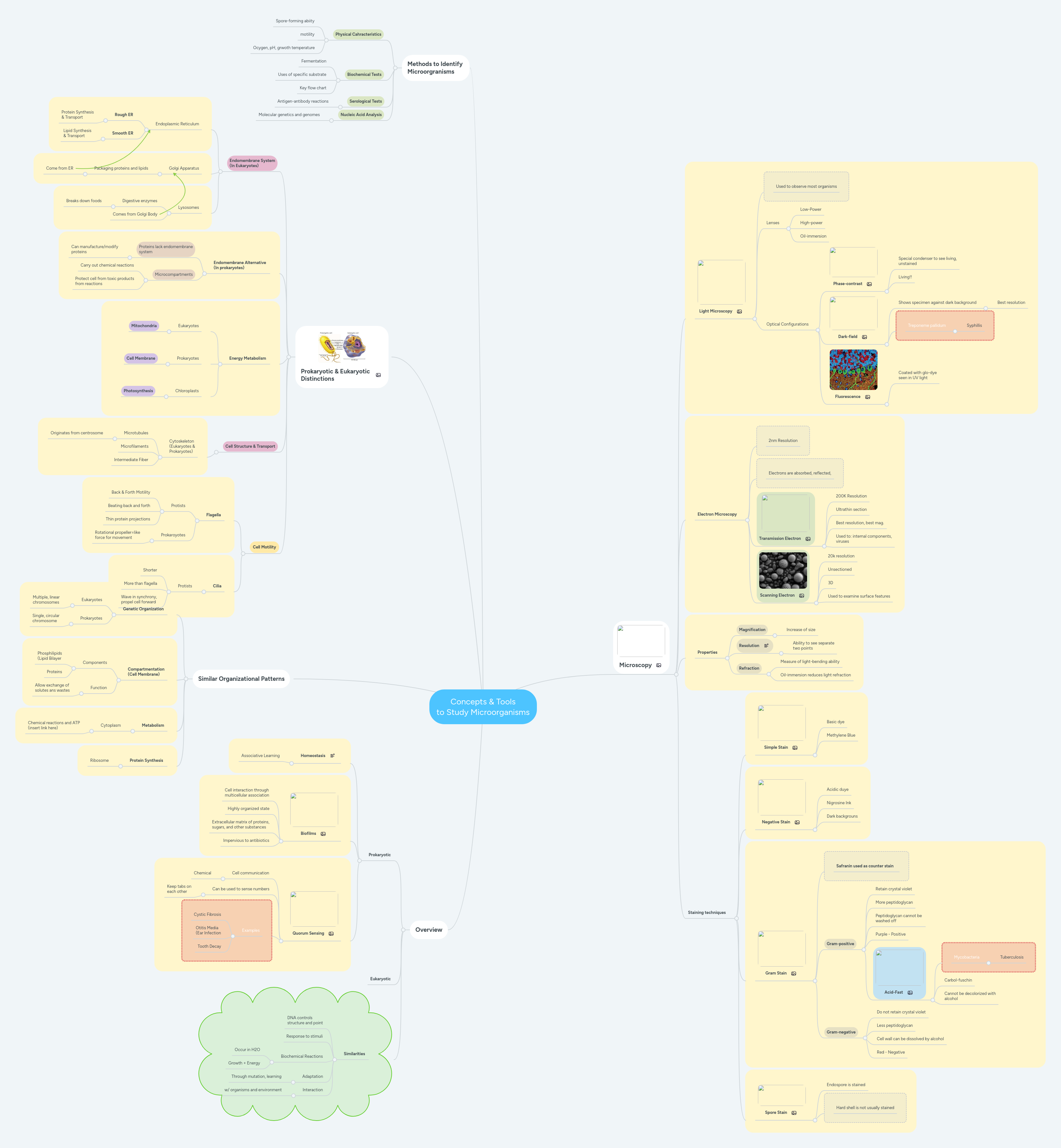 Concepts & Tools to Study Microorganisms | MindMeister Mind Map
