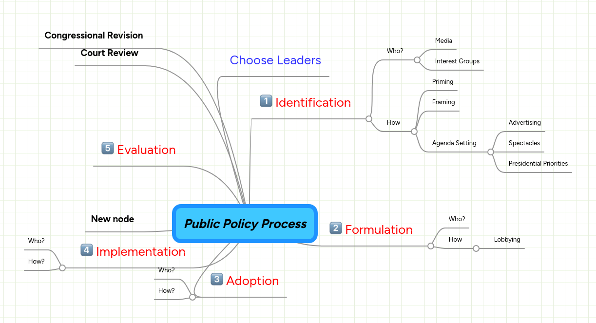 Public Policy Process | MindMeister Mind map