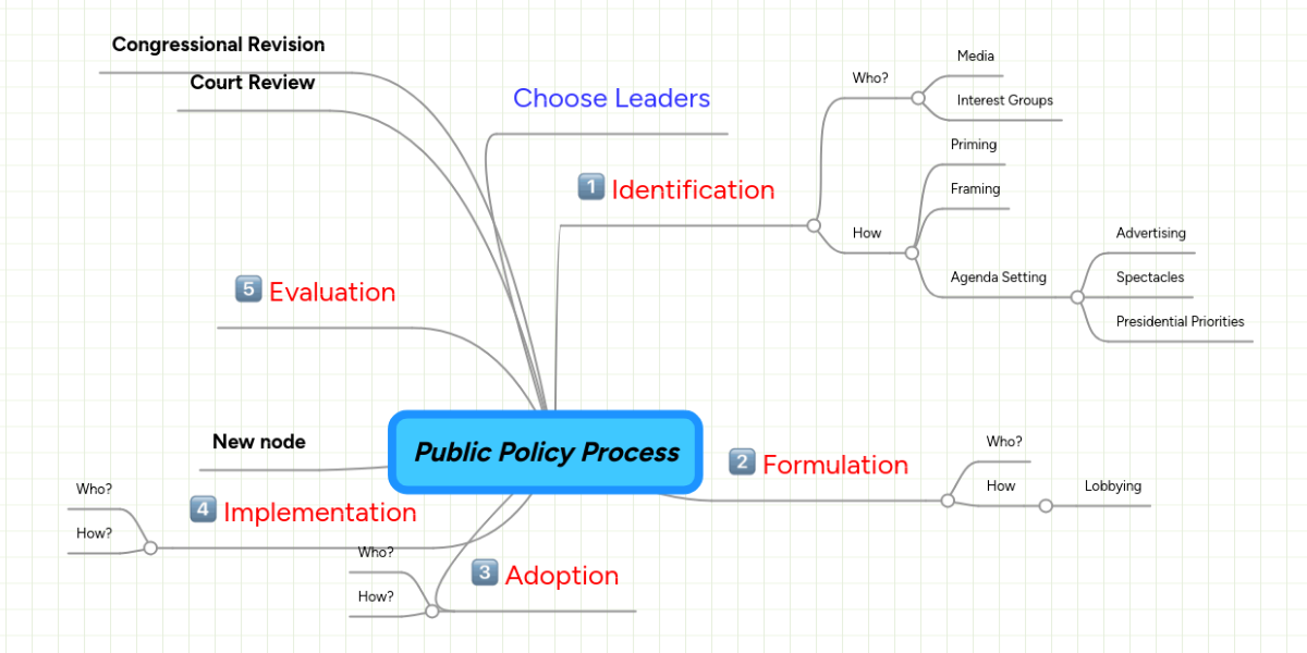 Public Policy Process | MindMeister Mind Map