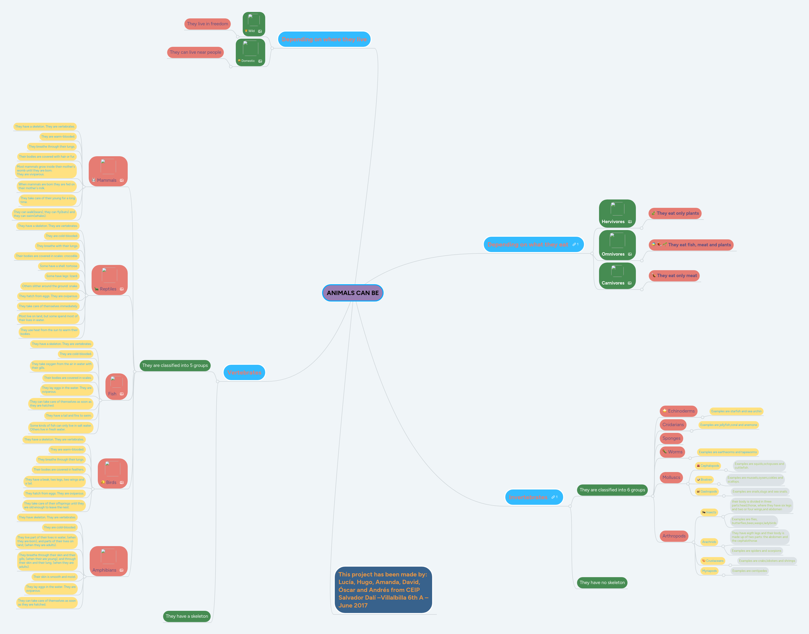 ANIMALS CAN BE | MindMeister Mind Map