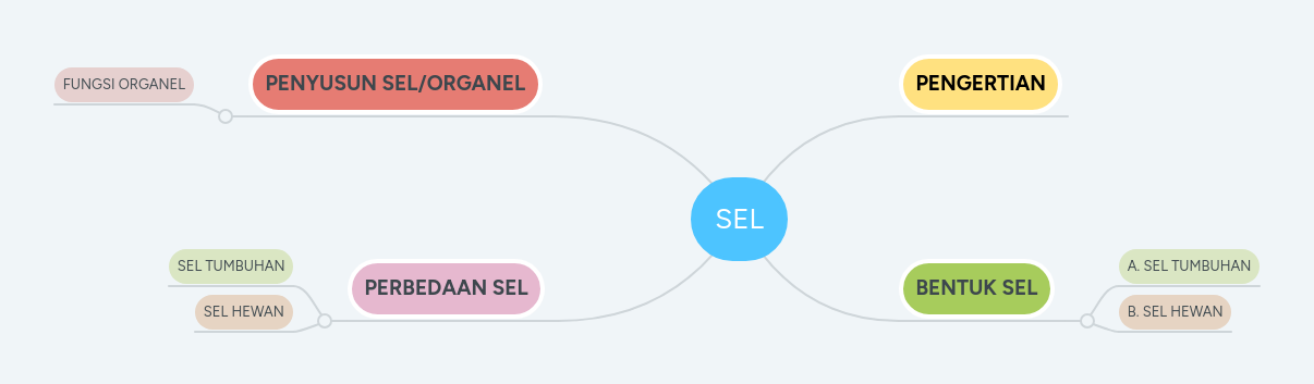 SEL | MindMeister Mind map