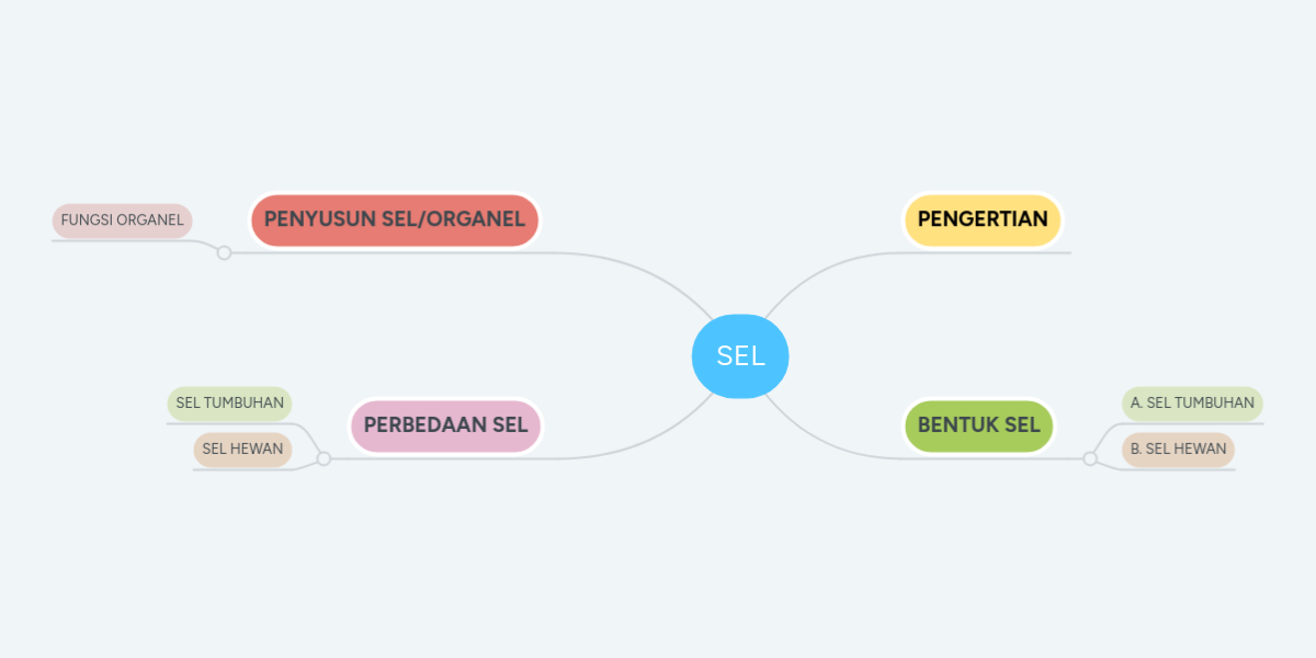 SEL | MindMeister Mind Map