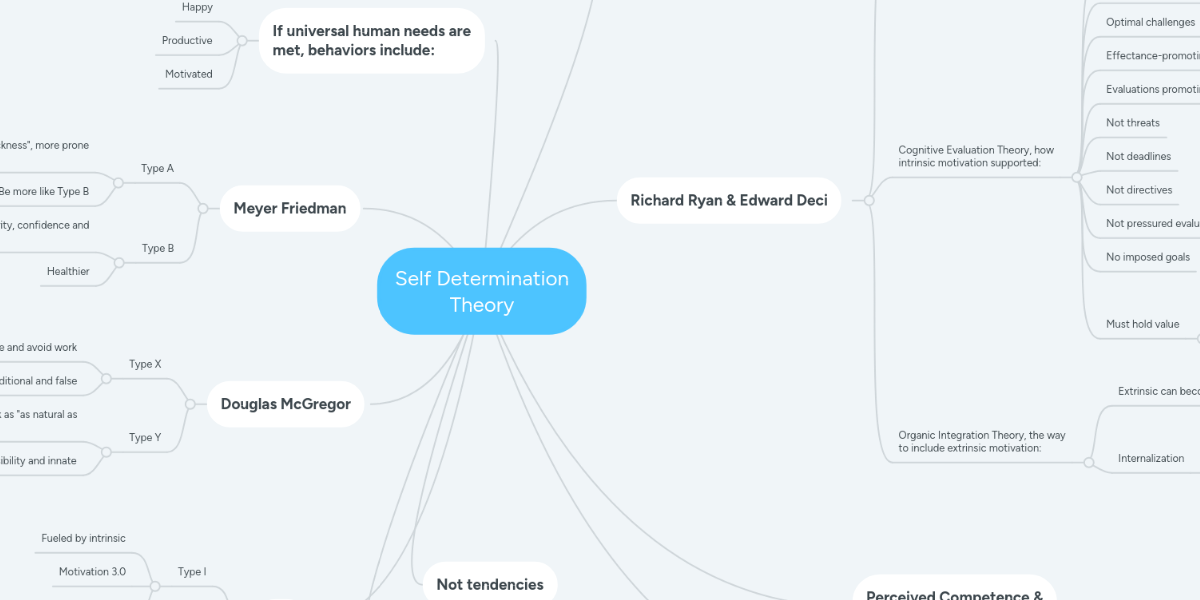 Self Determination Theory | MindMeister Mind Map