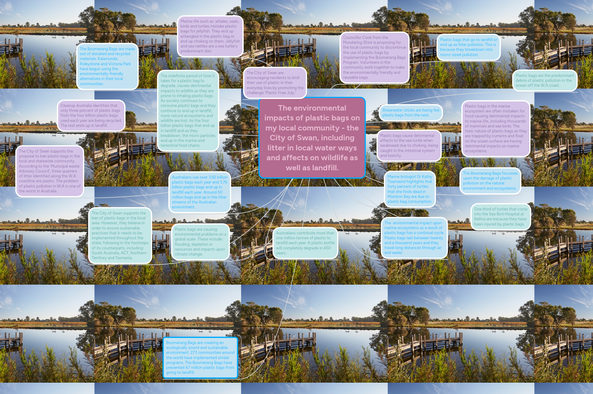 The environmental impacts of plastic bags on my l... | MindMeister Mind Map