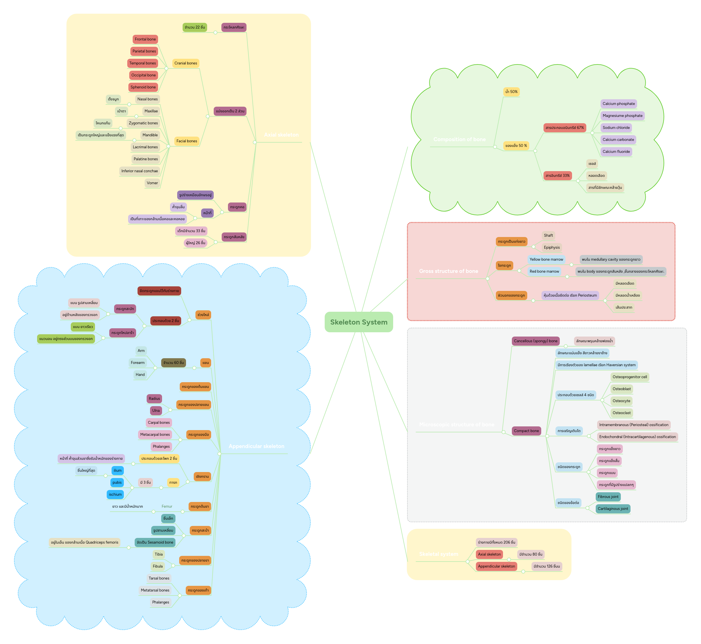 Skeleton System | MindMeister Mind map