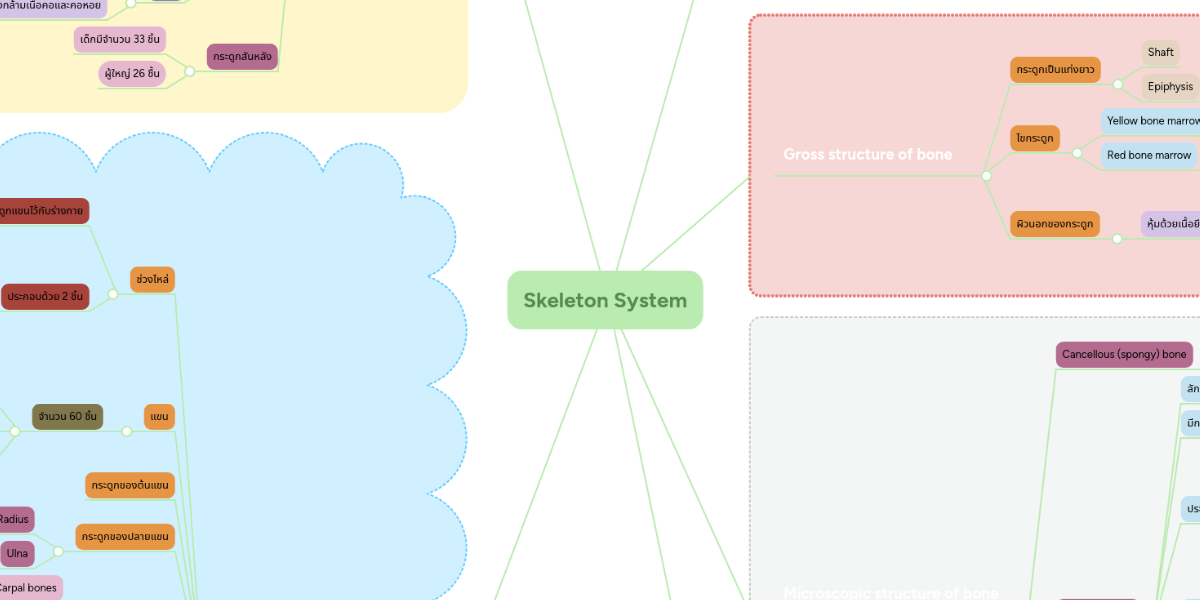 Skeleton System | MindMeister Mind Map