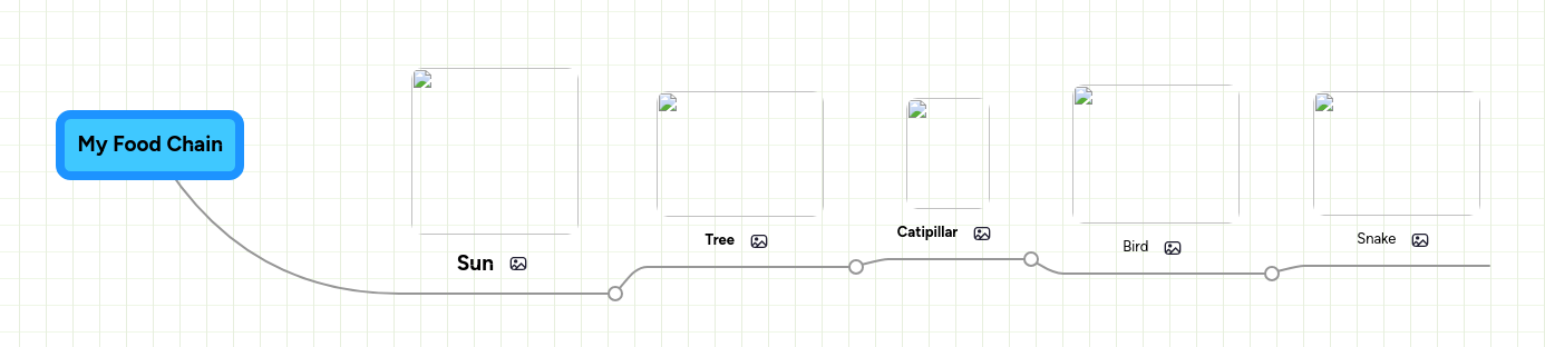 My Food Chain | MindMeister Mind map
