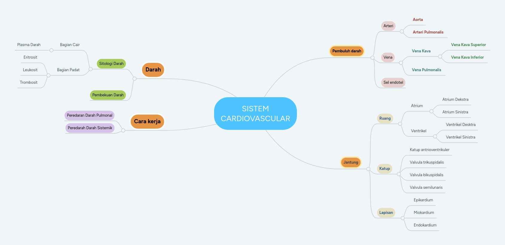 SISTEM CARDIOVASCULAR | MindMeister Mind map