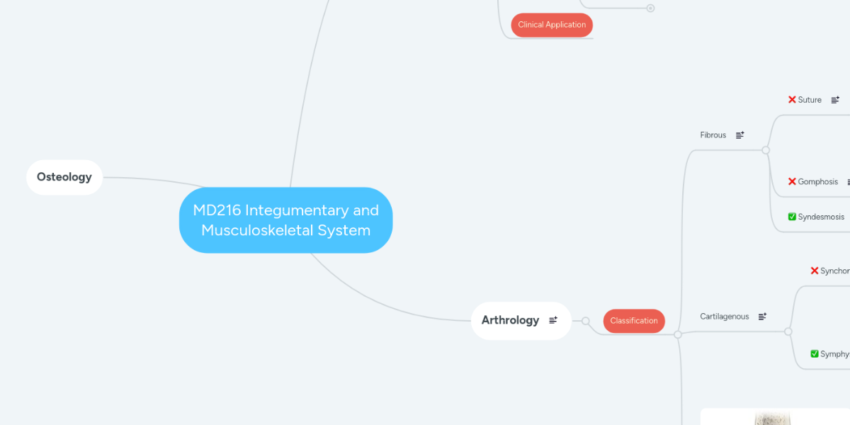 MD216 Integumentary and Musculoskeletal System | MindMeister Mind Map