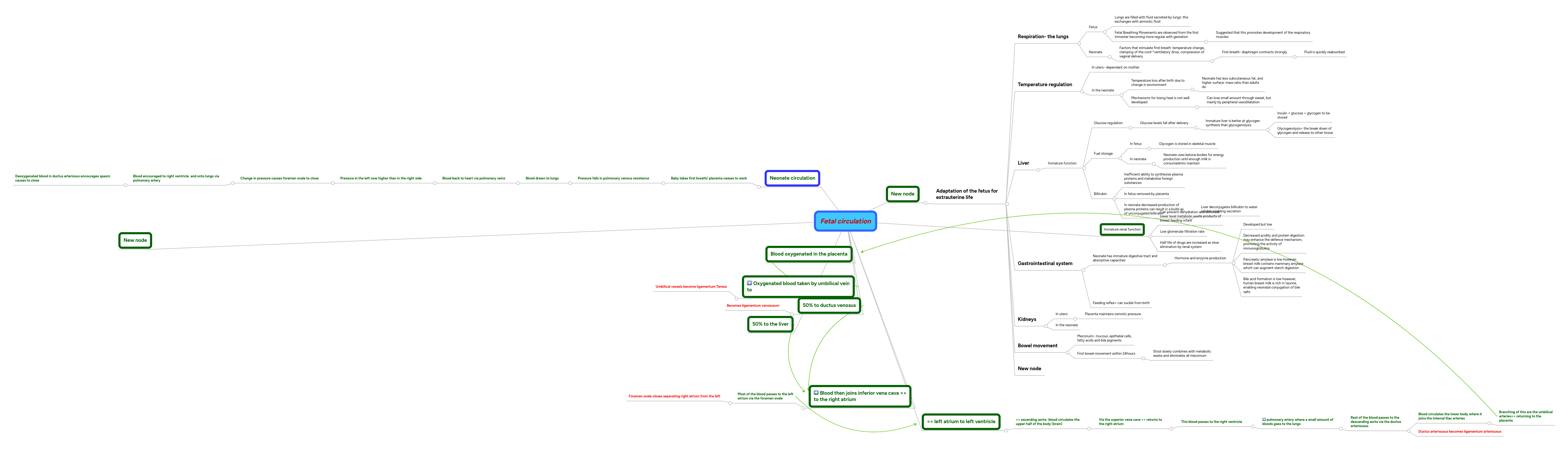 Fetal circulation | MindMeister Mind Map