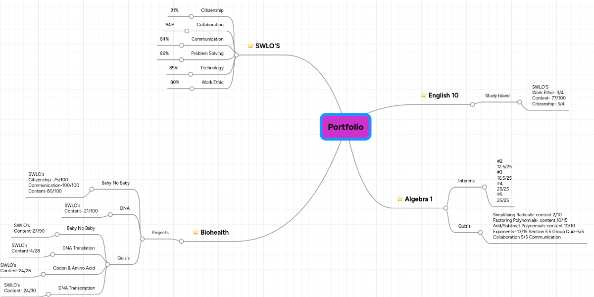 Portfolio | MindMeister Mind Map
