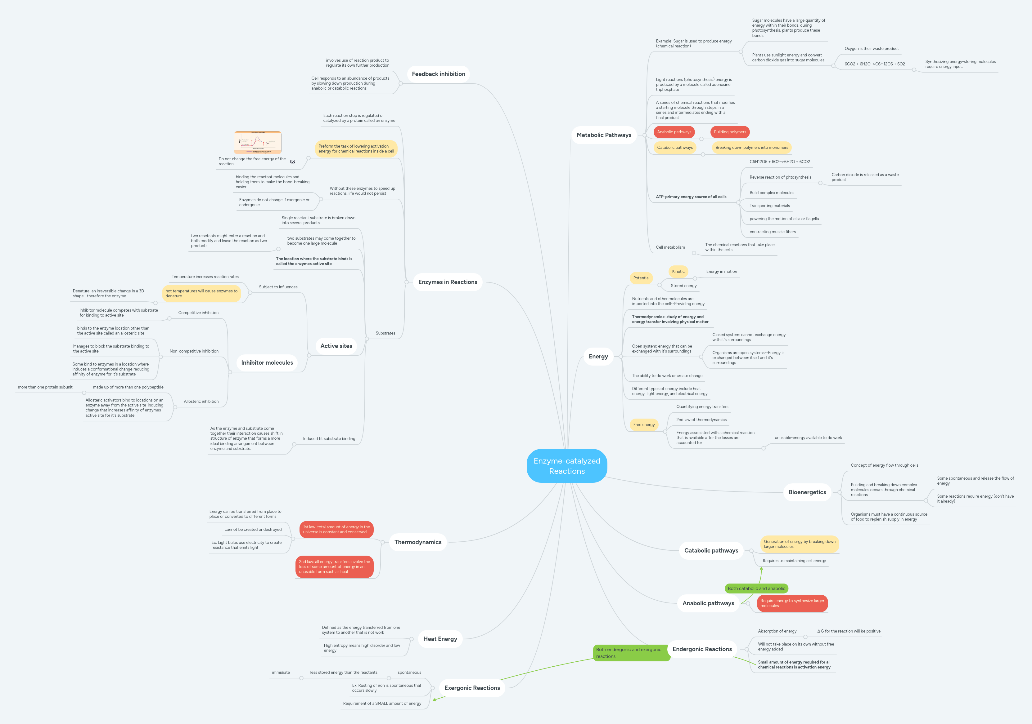 Enzyme-catalyzed Reactions | MindMeister Mind Map