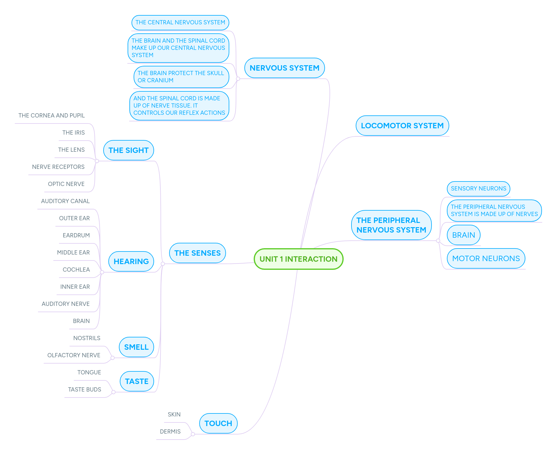 UNIT 1 INTERACTION | MindMeister Mind map