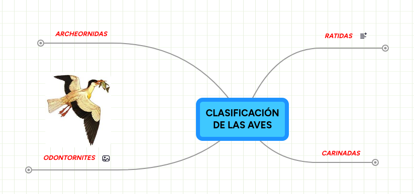 CLASIFICACIÓN DE LAS AVES | MindMeister Mapa mental