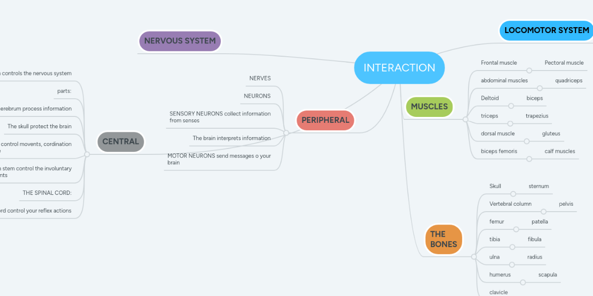 INTERACTION | MindMeister Mind Map