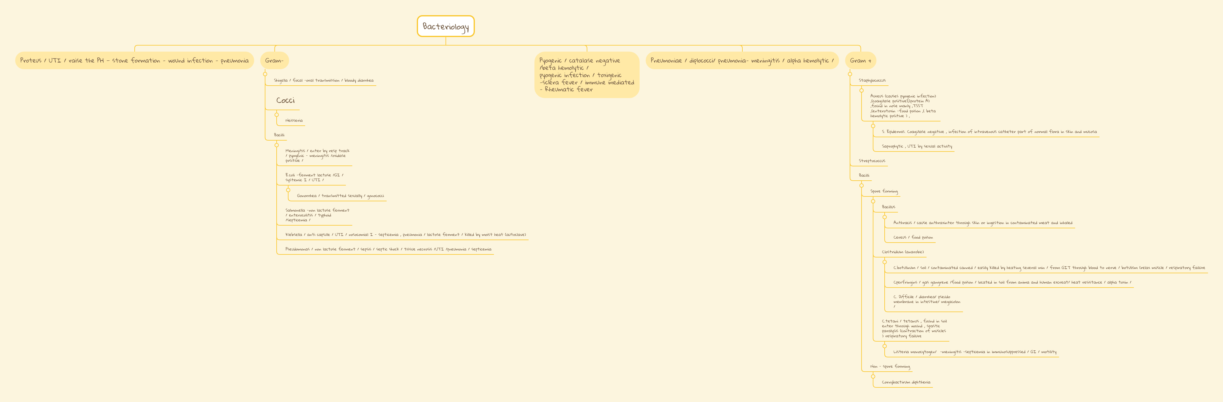 Bacteriology | MindMeister Mind map