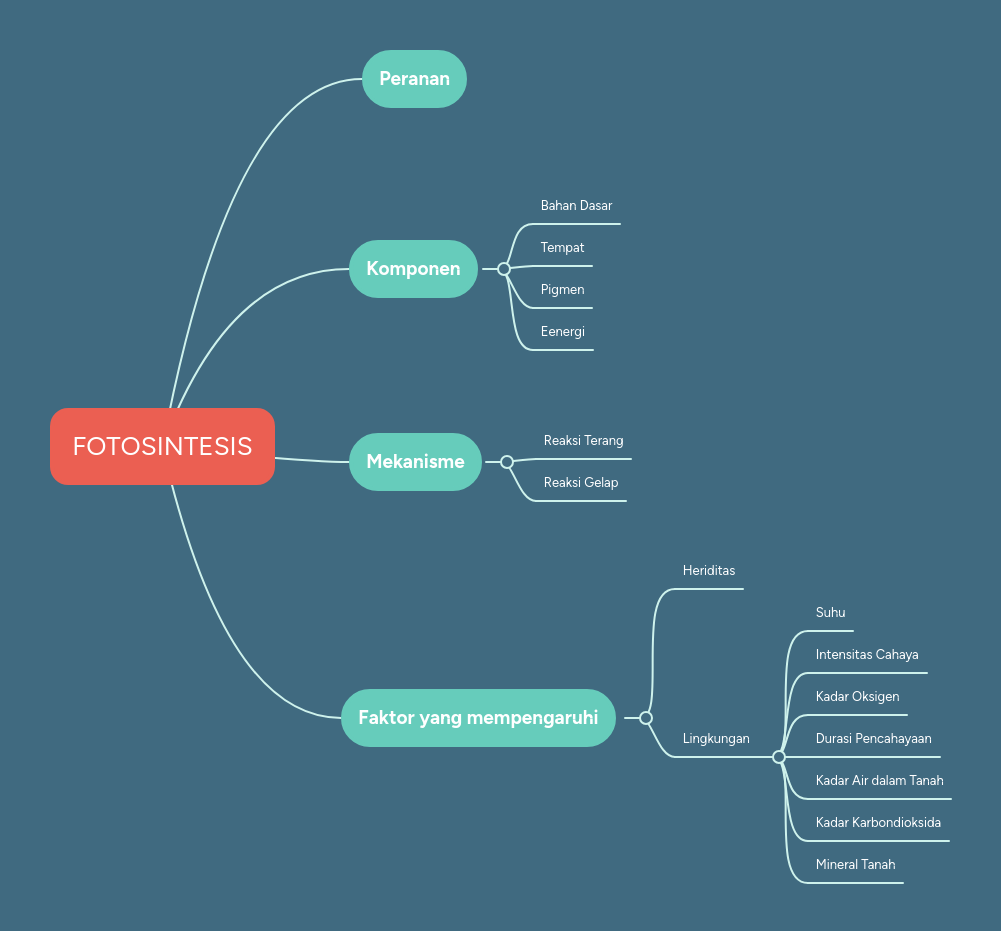FOTOSINTESIS | MindMeister Mind map