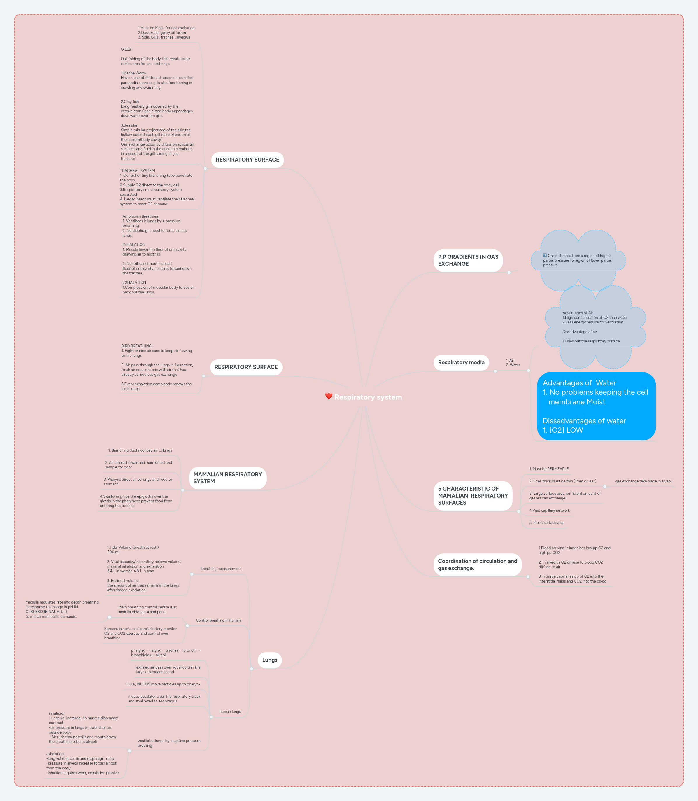 Respiratory system | MindMeister Mind map