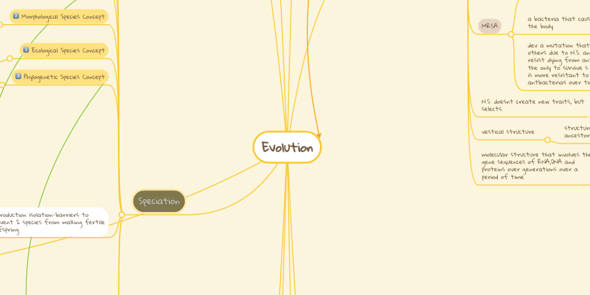 Evolution | MindMeister Mind Map