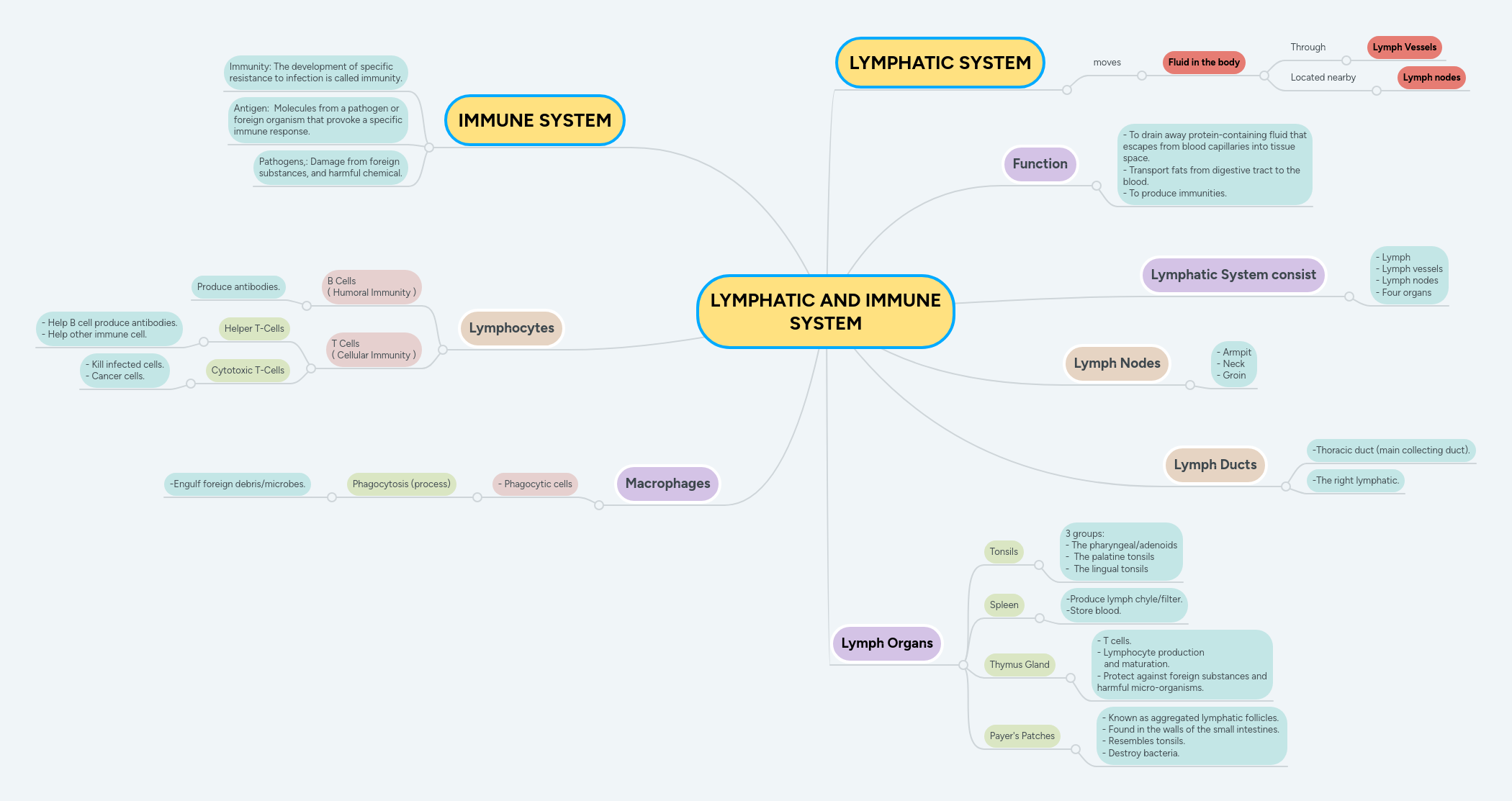Immune System Concept Map