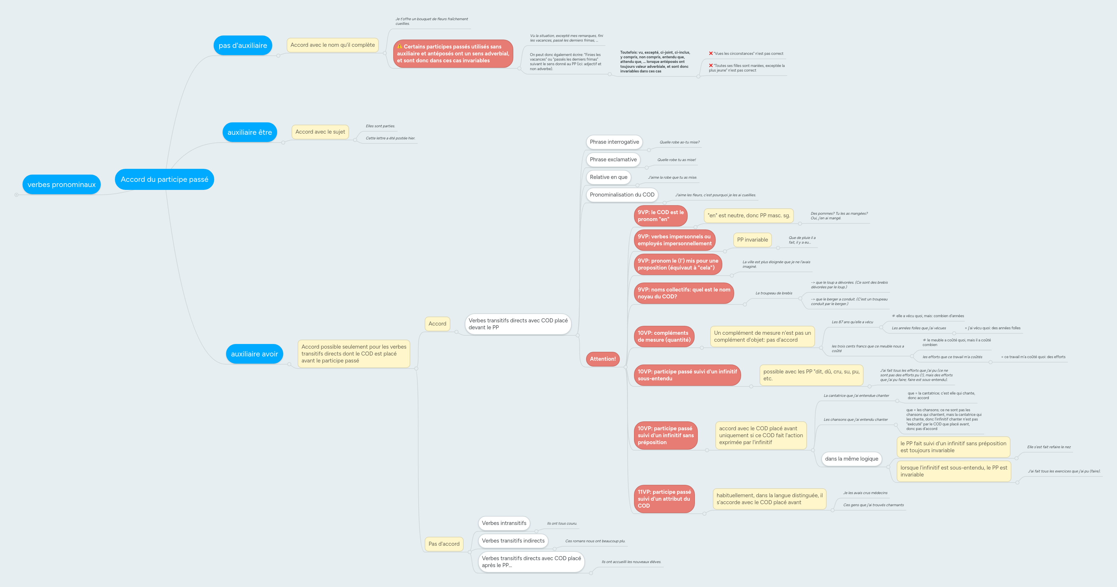 Accord du participe passé | MindMeister Mind Map
