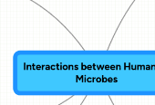 Interactions between Humans & Microbes - MindMeister Mind Map