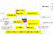 Heat - MindMeister Mind Map