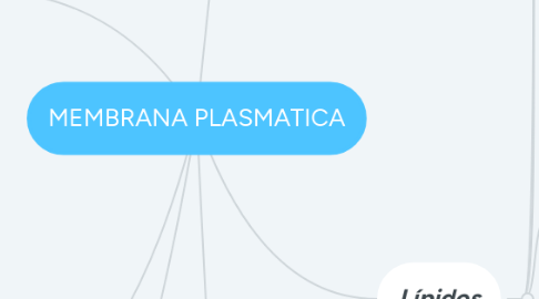 MEMBRANA PLASMATICA | MindMeister Mapa mental