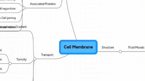 Cell Membrane | MindMeister Mind Map