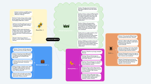 TYPES OF INSECTS | MindMeister Mind map