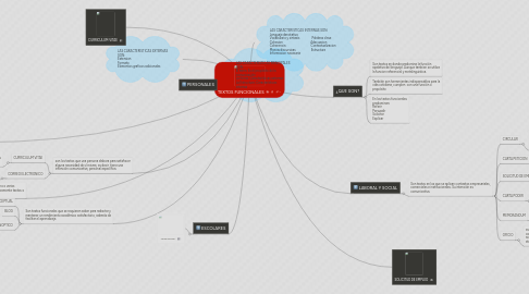 TEXTOS FUNCIONALES | MindMeister Mapa mental