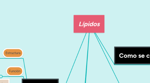 Lípidos | MindMeister Mapa Mental