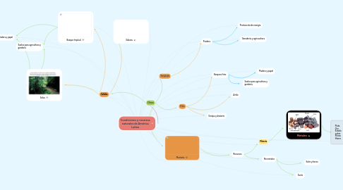 Condiciones y recursos naturales de América Latina | MindMeister Mapa mental