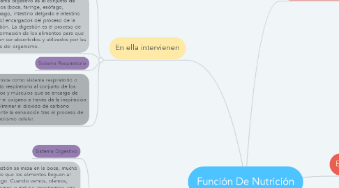 Función De Nutrición | MindMeister Mapa Mental