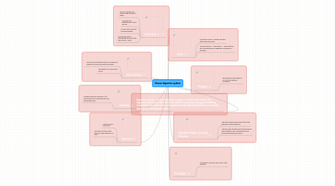 Human digestive system | MindMeister Mind Map