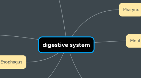 digestive system | MindMeister Mind Map