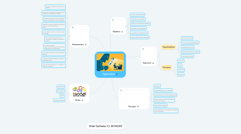 Supervision | MindMeister Mapa Mental