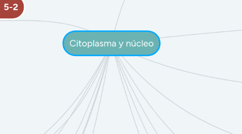 Citoplasma y núcleo | MindMeister Mapa mental