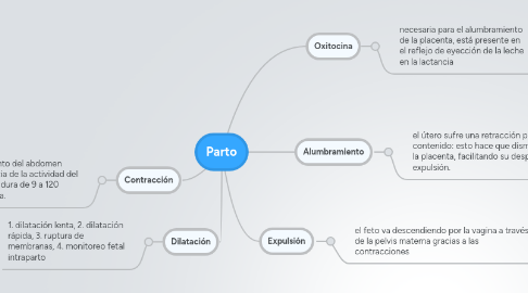 Parto | MindMeister Mapa Mental