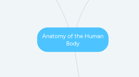 Anatomy of the Human Body | MindMeister Mind Map