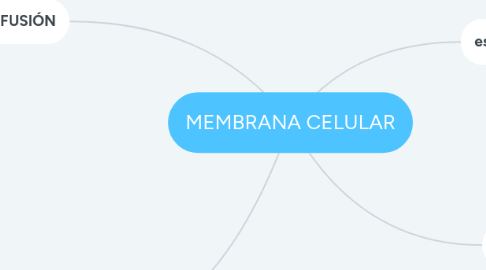 MEMBRANA CELULAR | MindMeister Mapa mental