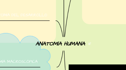 ANATOMÍA HUMANA | MindMeister Mapa mental