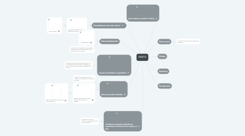 PARTO | MindMeister Mapa Mental