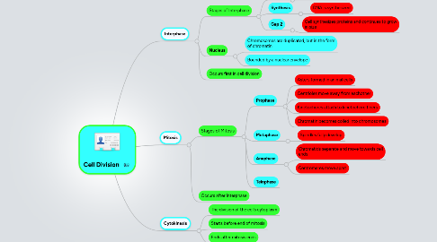 Cell Division | MindMeister Mind map