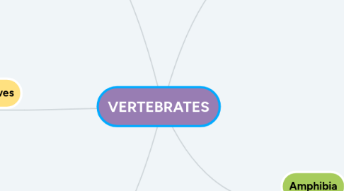 VERTEBRATES | MindMeister Mind map