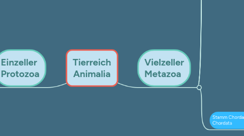 Tierreich Animalia | MindMeister Mindmap