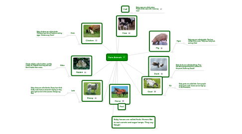 Farm Animals | MindMeister Mind Map