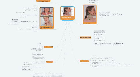 Head, Face, Neck, Lymphatics | MindMeister Mind map