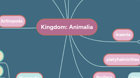 Kingdom: Animalia | MindMeister Mind map