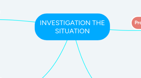 INVESTIGATION THE SITUATION | MindMeister Mind map